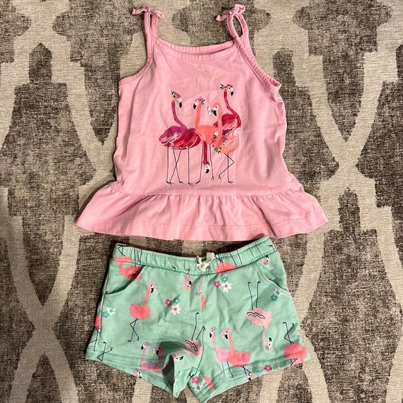 Carter's | Matching Sets | 24 Month Flamingos Set | Poshmark